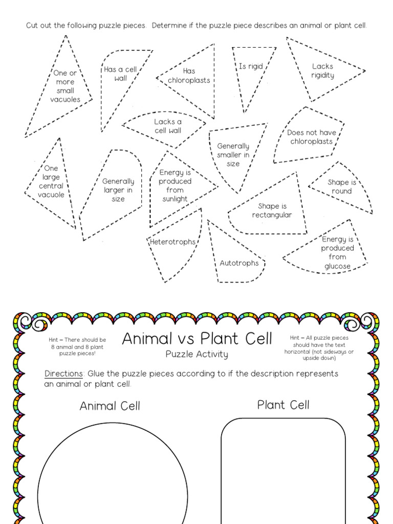 Animal Vs Plant Cell Puzzle Activity | PDF | Chloroplast | Cell (Biology)