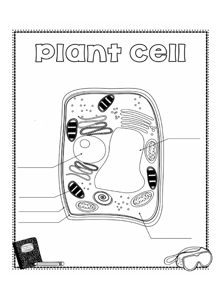 Plant Cell Pdf