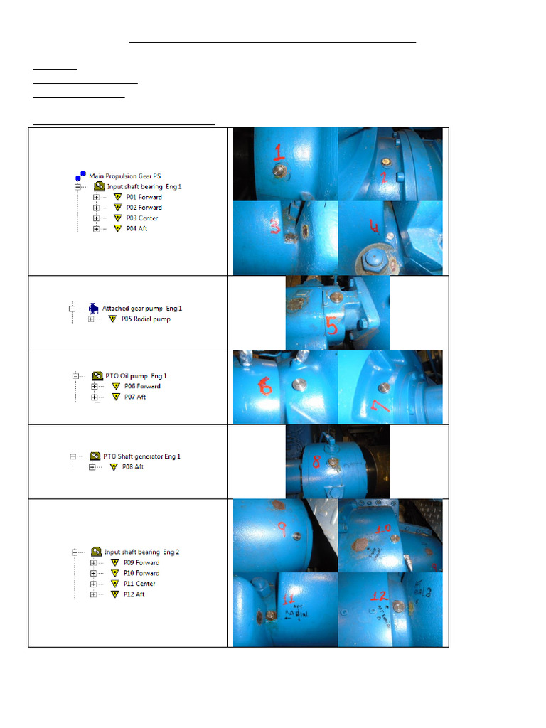 Vibration Points Guide - Skandi Paraty | PDF