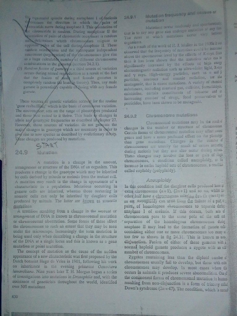 Mutation Pdf Pdf