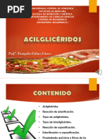 Sintesis Trioleina Completa | PDF