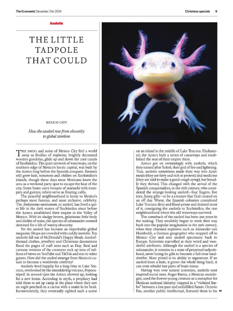 Axolotl Article | PDF