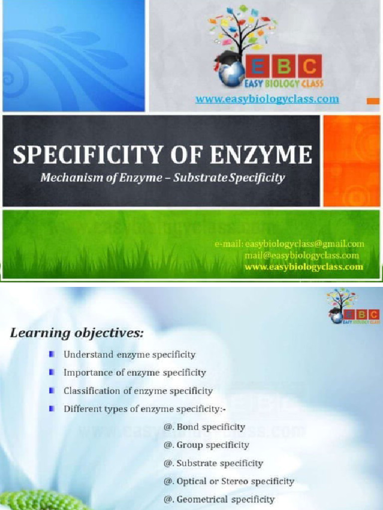 Specificity of Enzymes | PDF