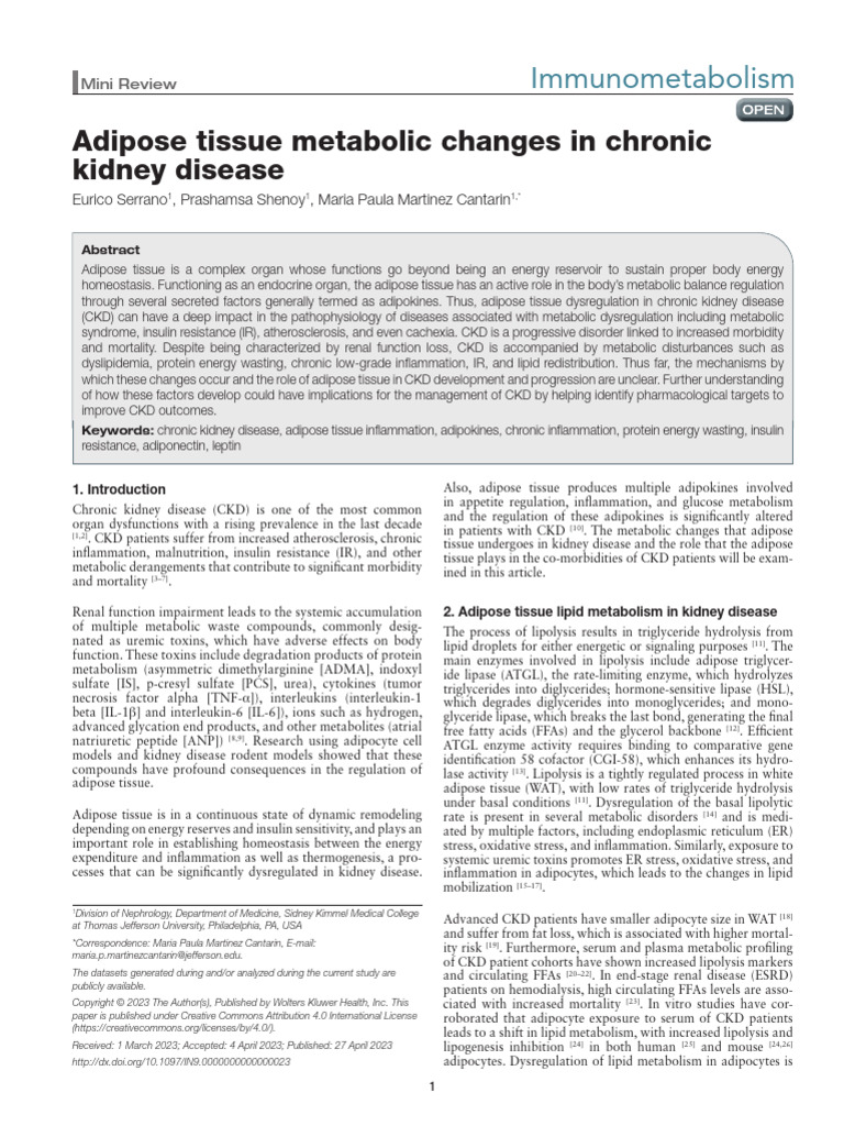 Adipose tissue metabolic changes in chronic kidney disease. | PDF | Adipose Tissue | Leptin