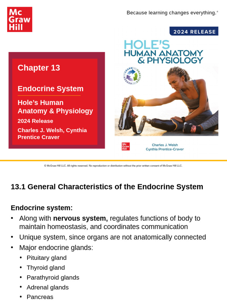 Welsh Holes HumanAP 2024 Release Chap013 PPT Accessible | PDF ...