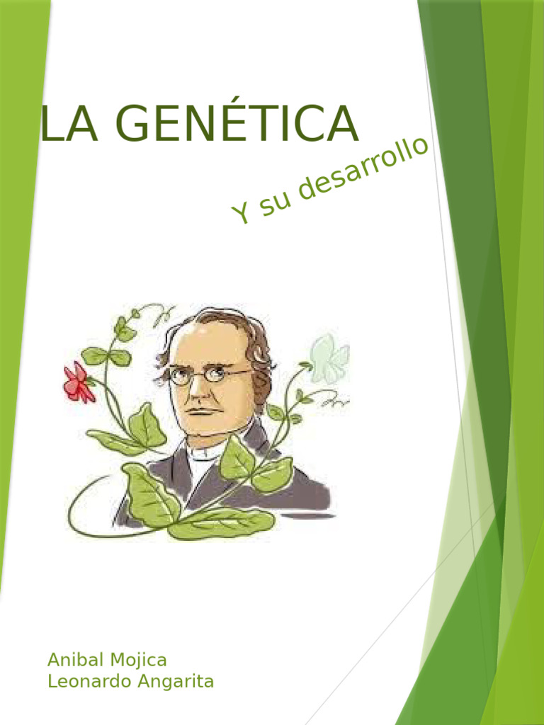 Leyes de Mendel y su Impacto | PDF | Dominancia (Genética) | Alelo