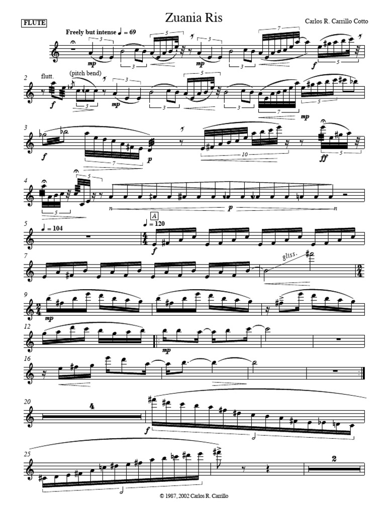 Zuania Ris C. Carrillo Parts | PDF | Performing Arts | Box Zithers