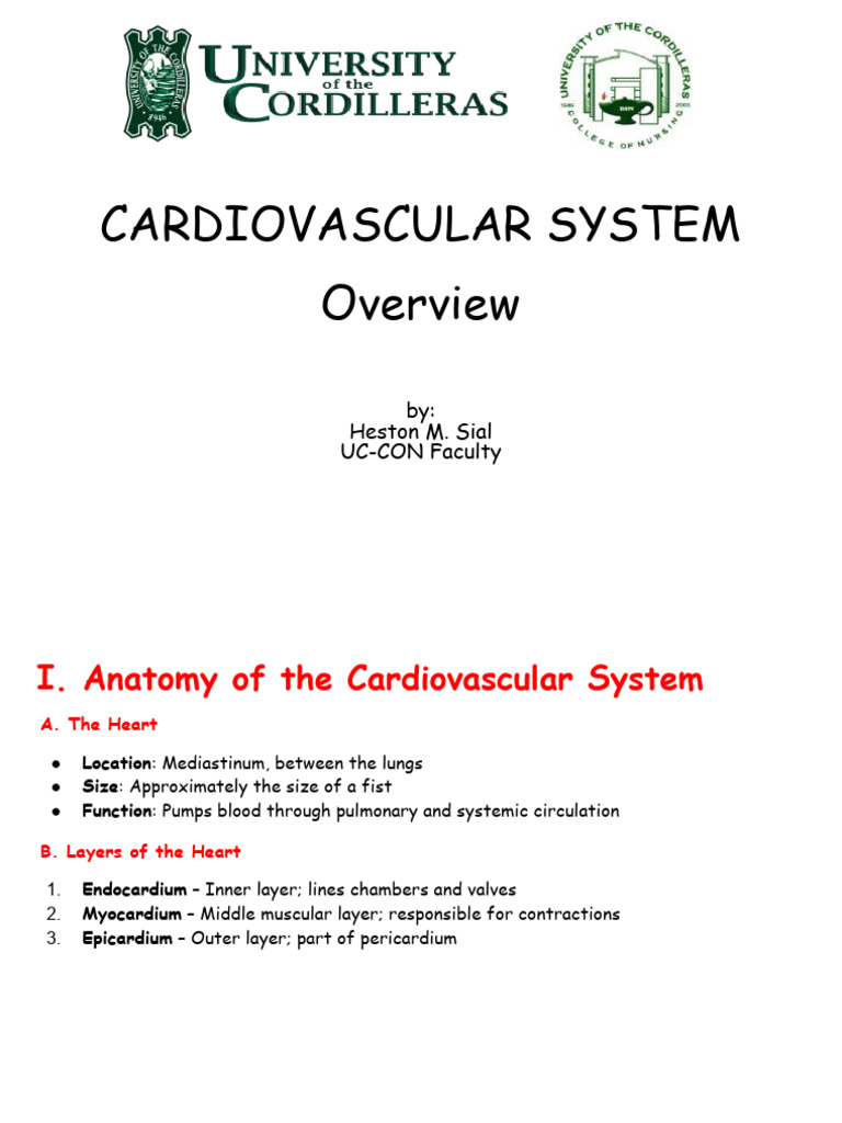 Cardiovascular System Overview | PDF | Heart | Heart Valve