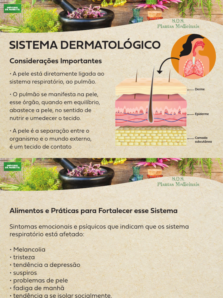 Apostila+SOS+planta+medicinais+-+sistema+dermatolo_gico-1 | PDF | Pele ...