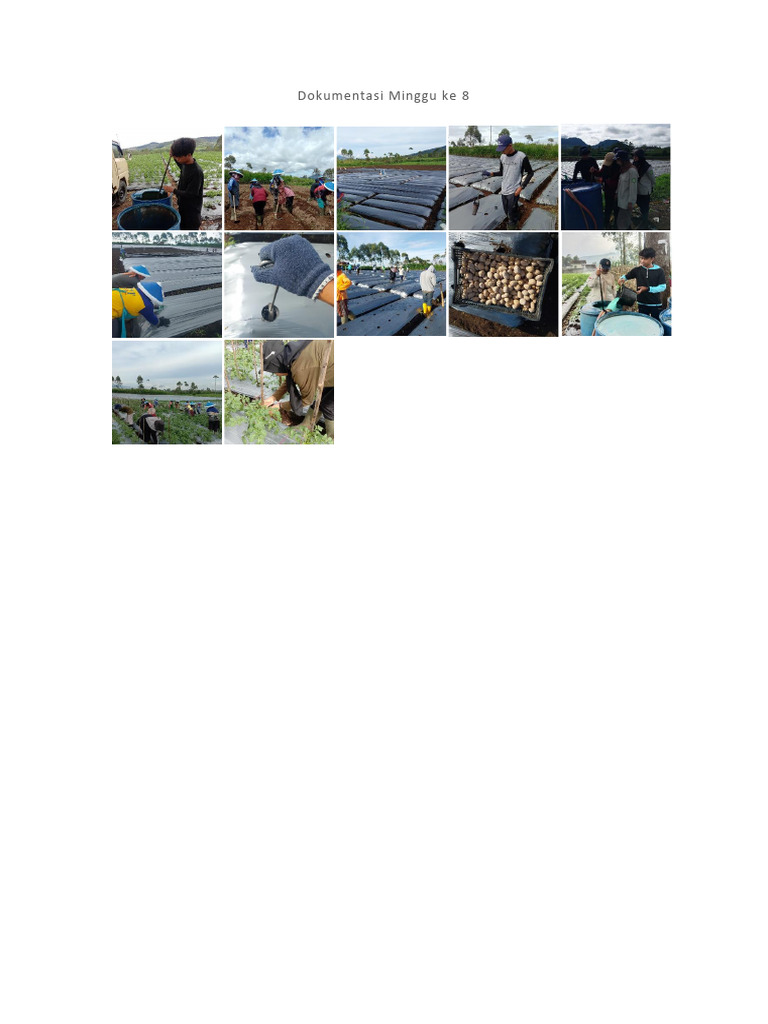 Dokumentasi Mingu Ke 8 | PDF