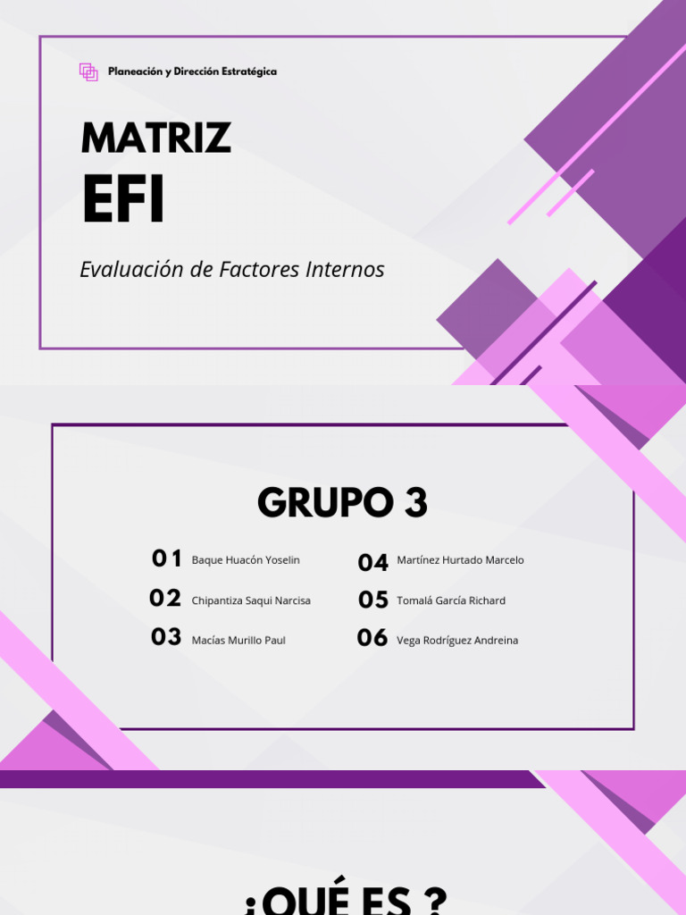 Matriz EFI - Grupo 3 | PDF