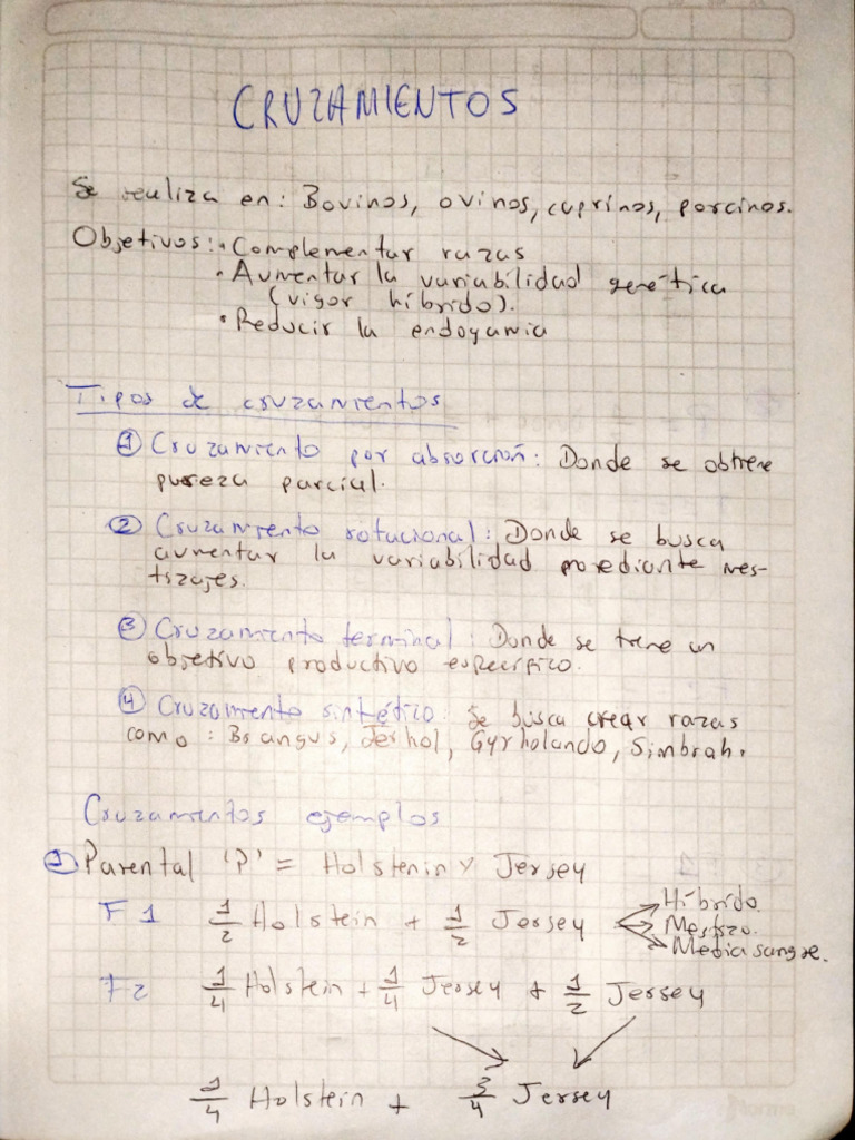 Michelle Dayana Trujillo Parra - Apuntes y ejercicios cruzamientos | PDF