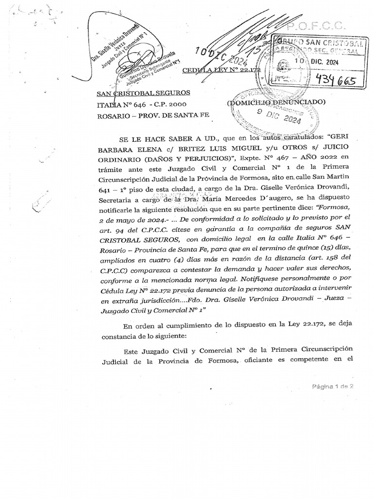 Cedula Demanda Geri | PDF