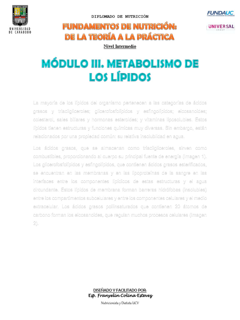 Material de Apoyo. Módulo Iii. Nivel Intermedio.-2 | PDF | Lipoproteína | Triglicéridos