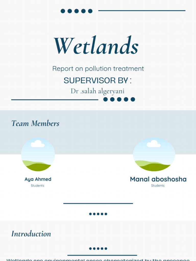 PDF Wetland | PDF
