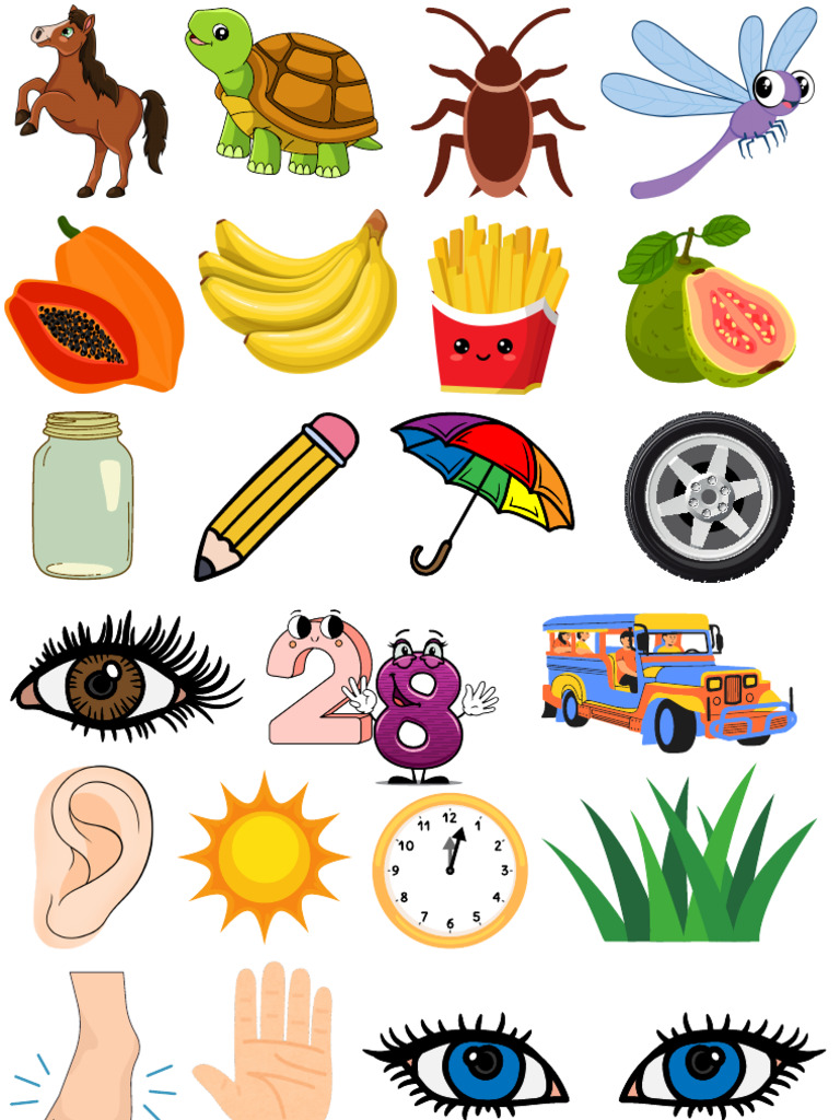 Visual Aids - A4 Size | PDF