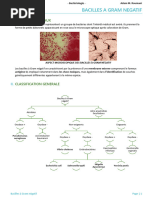 Les Entérocoque | PDF | Microbiologie | Spécialités médicales