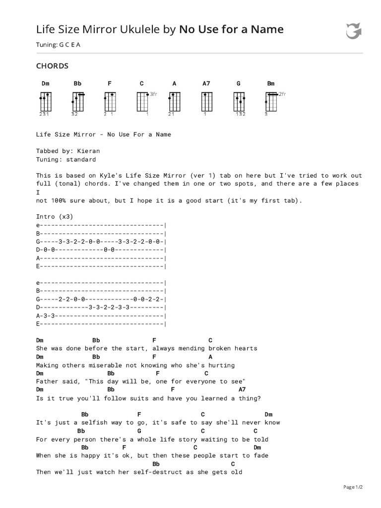 Life Size Mirror - No Use For A Nametabs | PDF