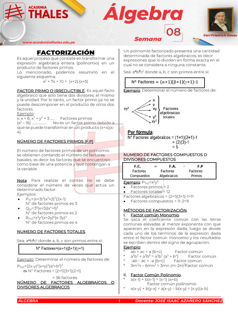 Algebra - Tema 08 | PDF | Factorización | Álgebra