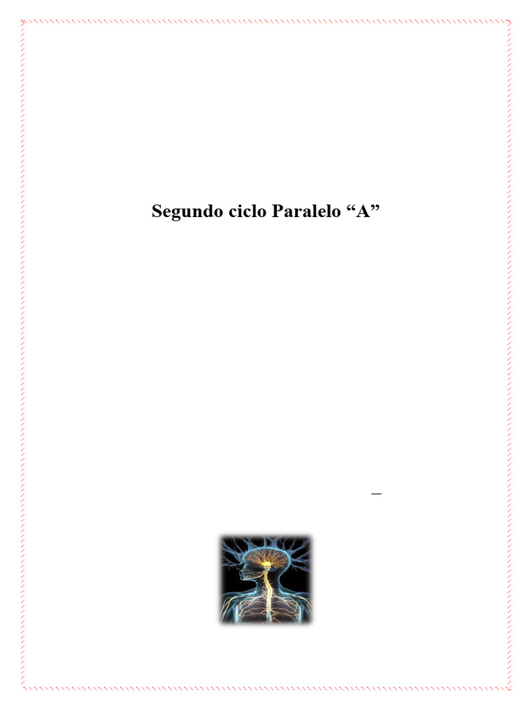 Neurotransmisores: Funciones y Tipos | PDF | Sinapsis | Norepinefrina