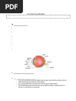 Class10 Human Eye Notes | PDF | Eye | Human Eye