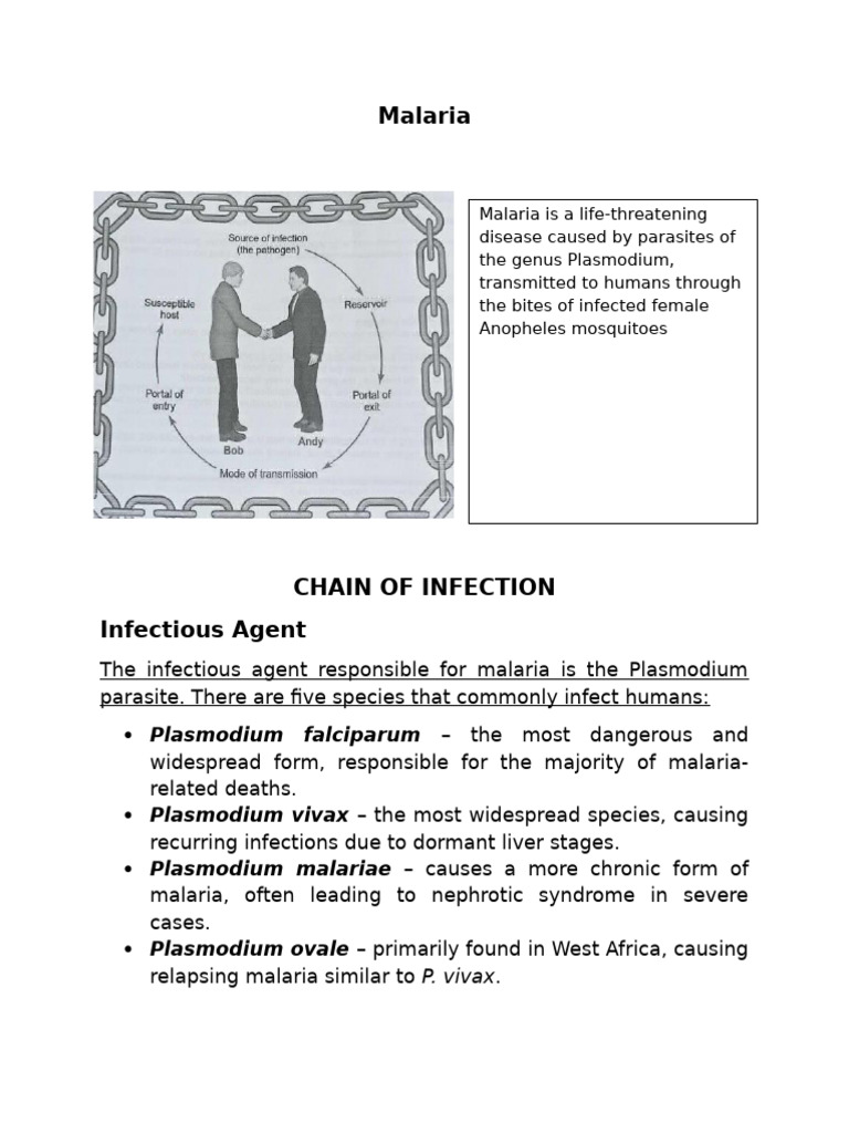 Malaria: Chain of Infection Overview | PDF | Malaria | Plasmodium