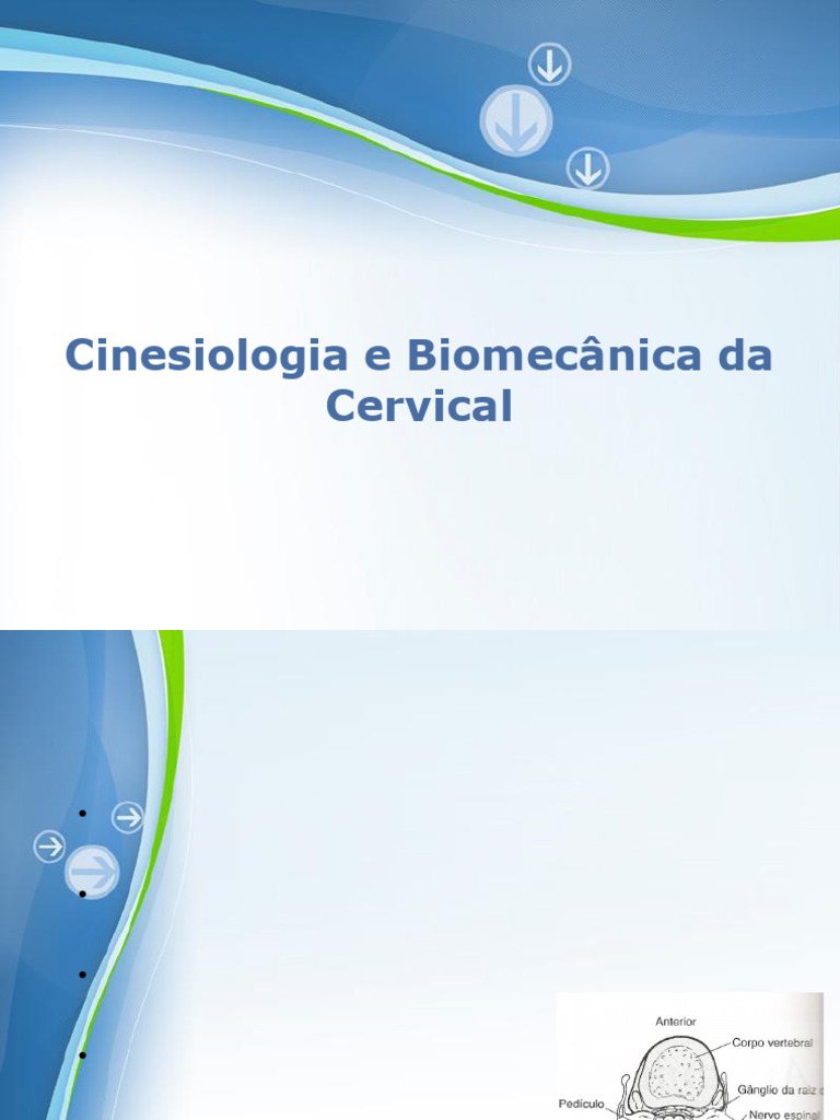 Aula - Cinesiologia e Biomecânica Da Cervical | PDF | Coluna vertebral | Vértebra