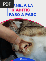 Triaditis Felina | PDF | Inflamación | Páncreas