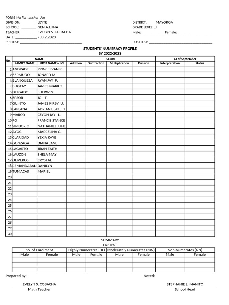 Students' Numeracy Profile Summary 2023 | PDF