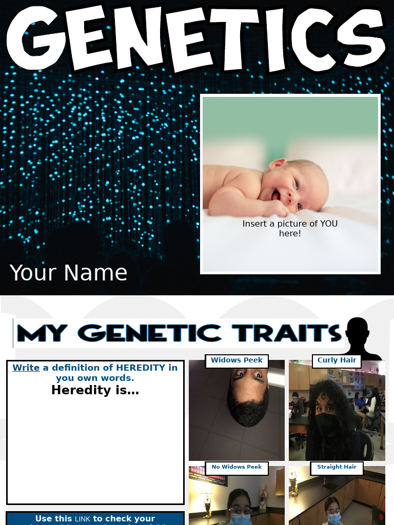 23 Genetics Activity | PDF