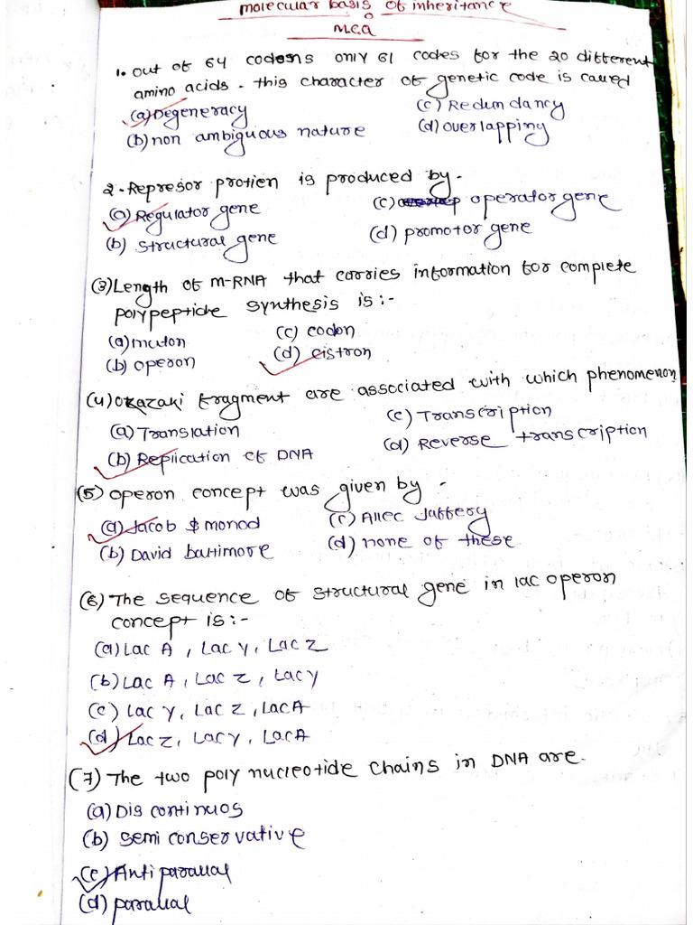 Molecular Basis of Inheritance MCQ? | PDF