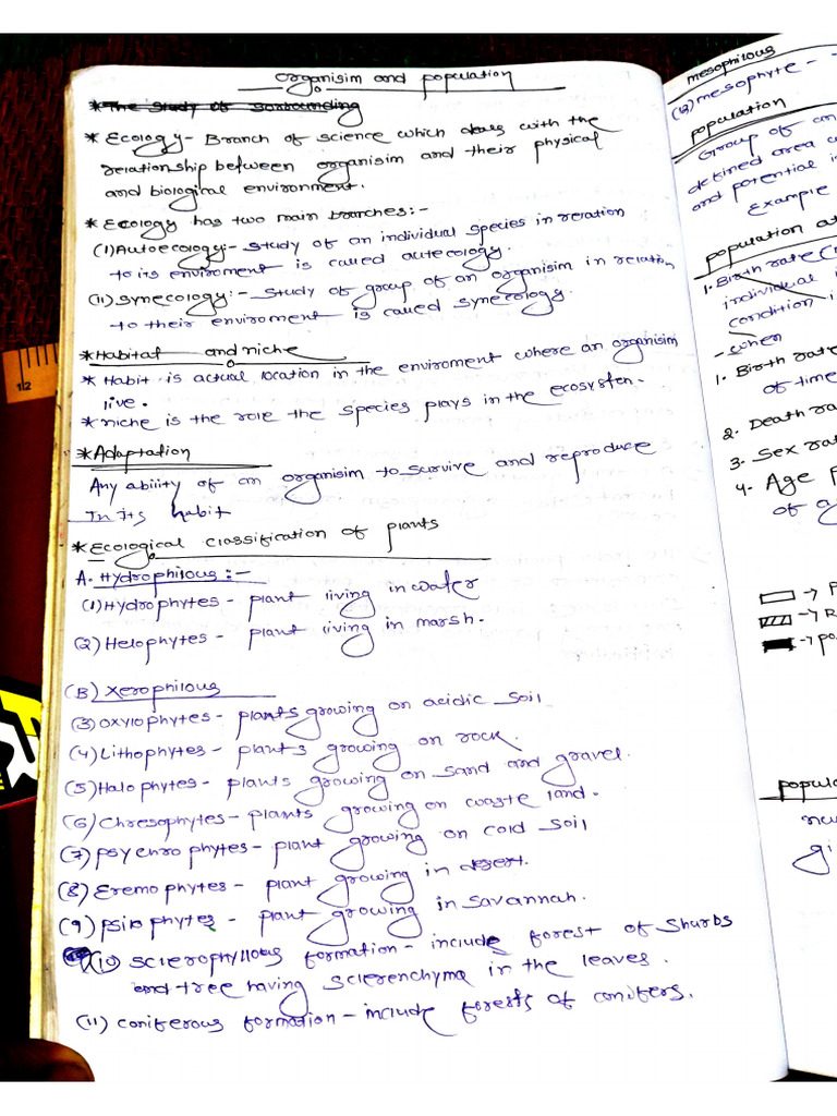 Molecular Basis of Inheritance Mcq? | PDF Molecular Basis of Inheritance Mcq? | PDF
