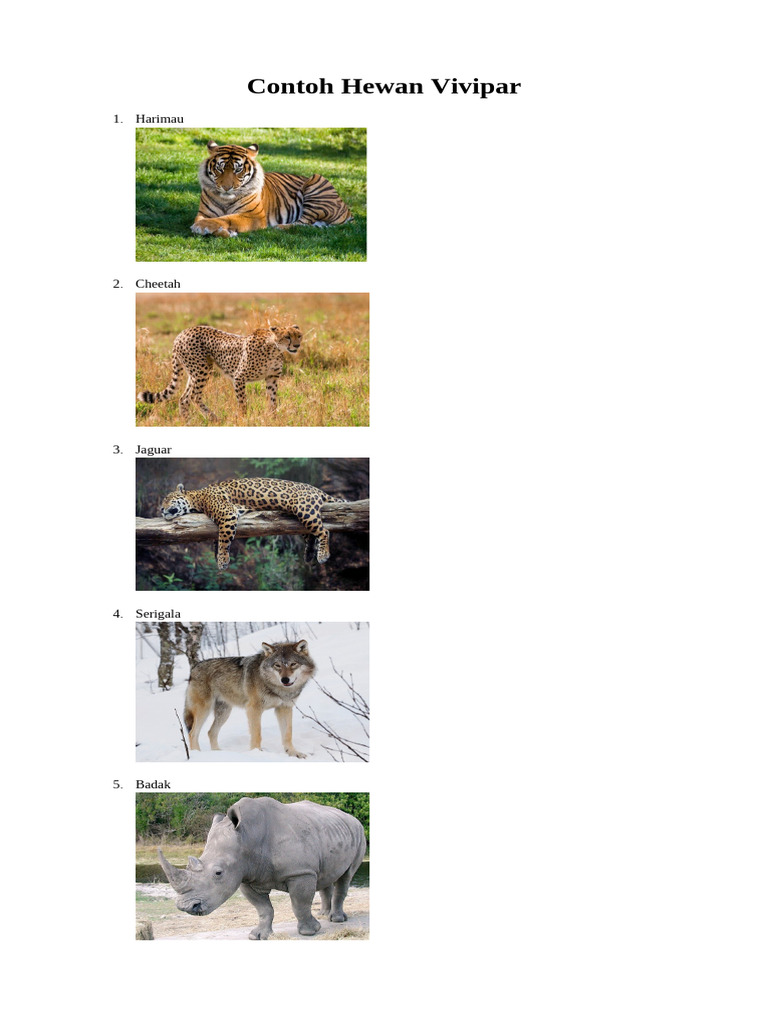 Contoh Hewan Vivipar | PDF