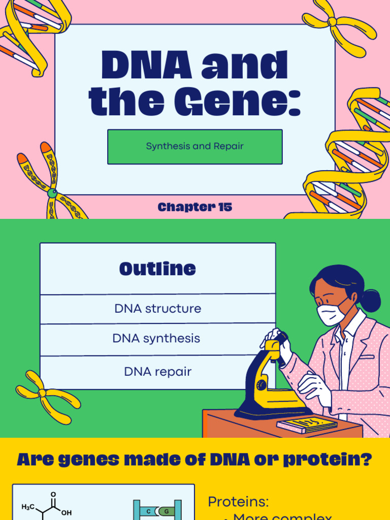 DNA Structure, Synthesis, and Repair | PDF | Dna Replication | Dna