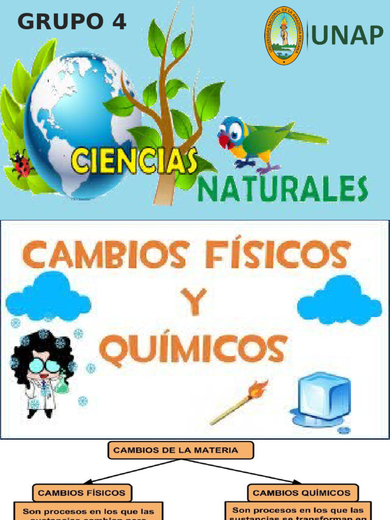 Comparativa de Cambios Físicos y Químicos | PDF