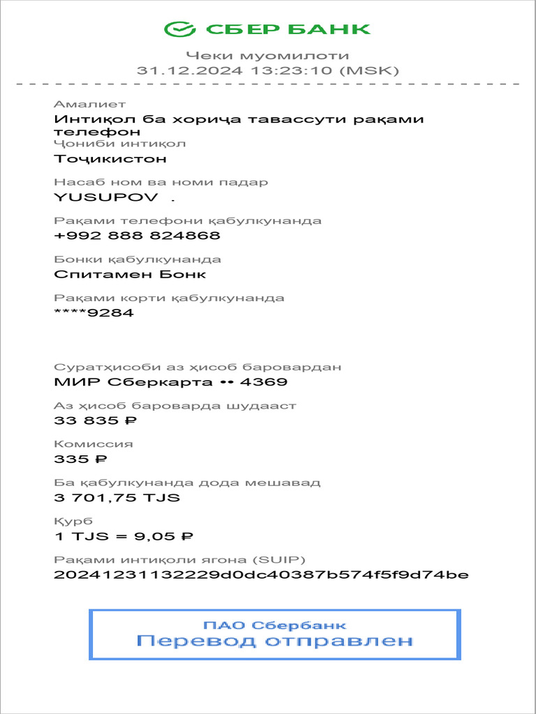 Документ 2024 12 31 132335 | PDF