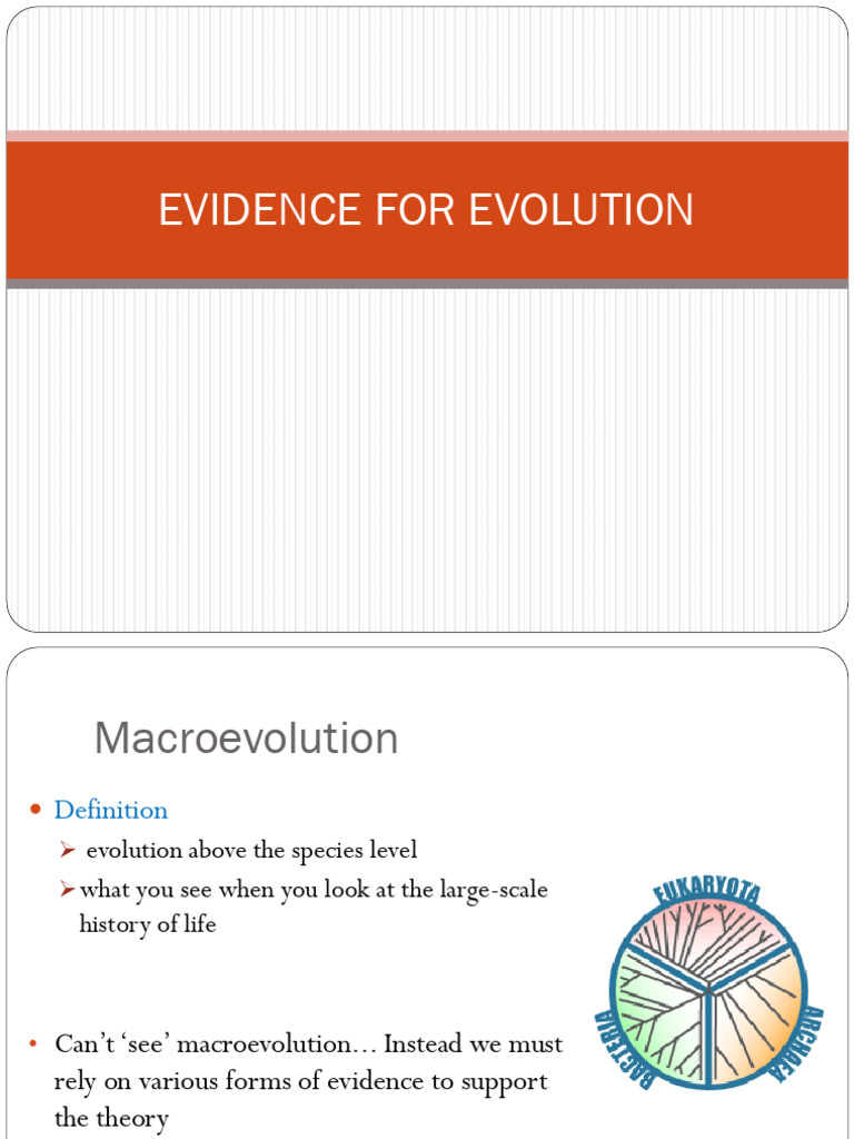 EVIDENCE FOR EVOLUTION | PDF | Homology (Biology) | Evolution