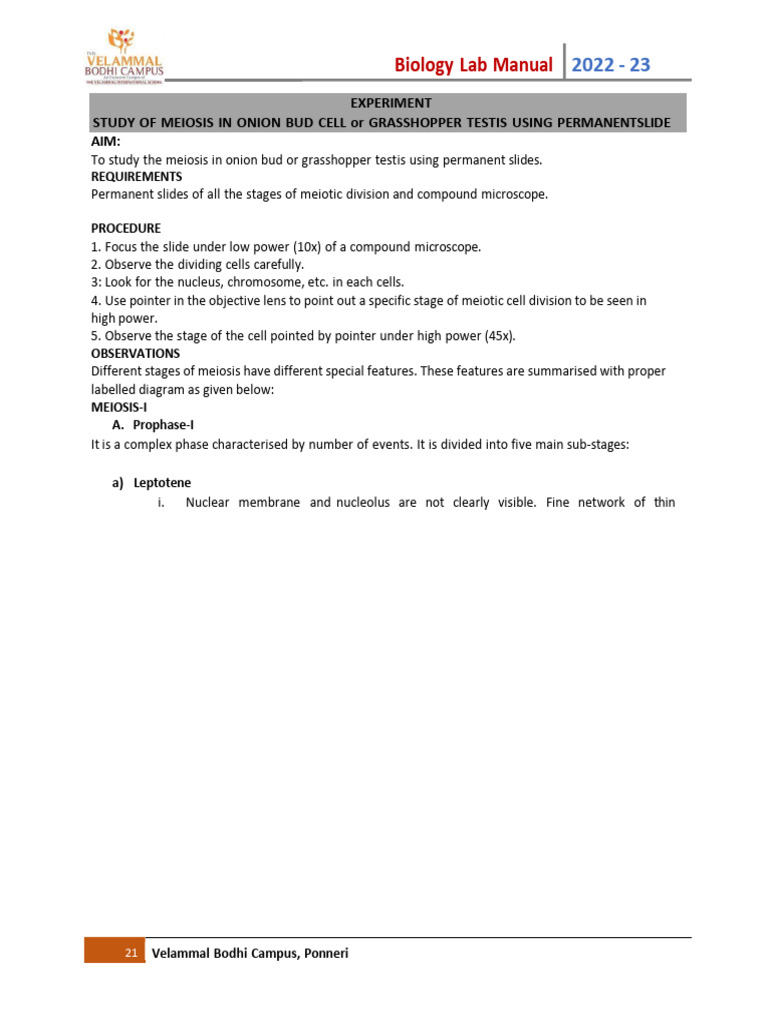 Meiosis in Grasshopper Testis Slides | PDF | Meiosis | Chromosome