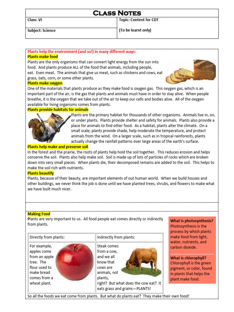 6-Science (6)CDT | PDF | Plants | Speed