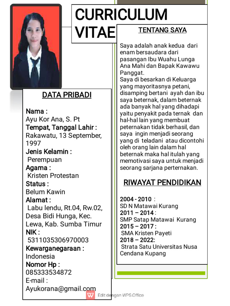 CV Ayu Kor Ana | PDF