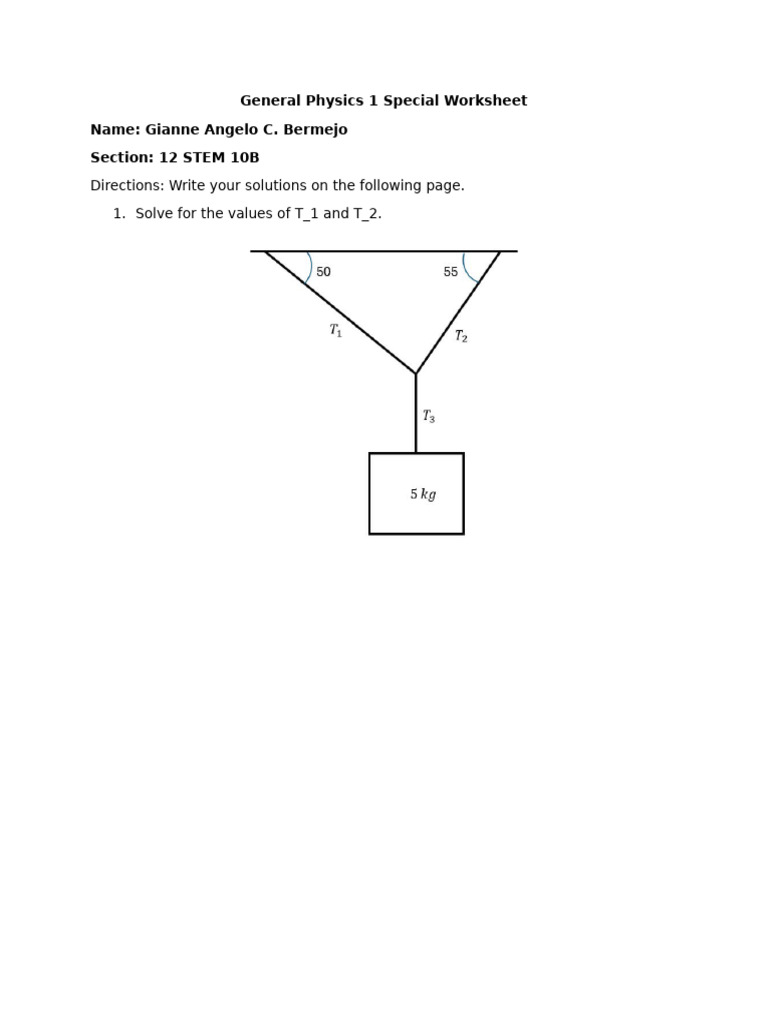 General Physics 1 Special Worksheet 3 | PDF