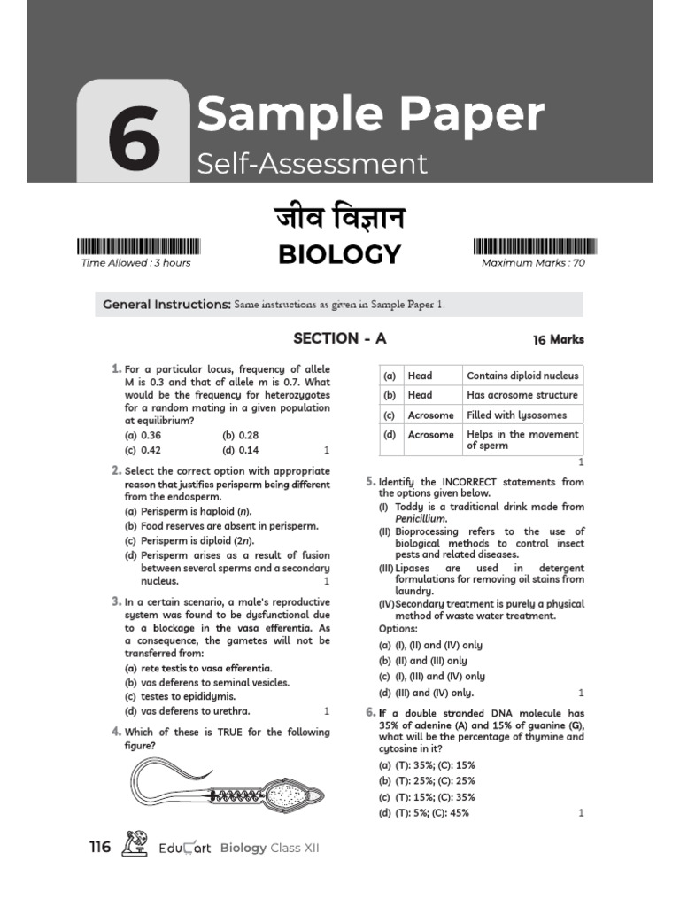 Class 12 Biology Sample Paper 2025 | PDF | Ploidy | Lymphatic System