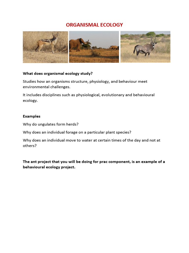 Overview of Ecology: Organismal to Global | PDF