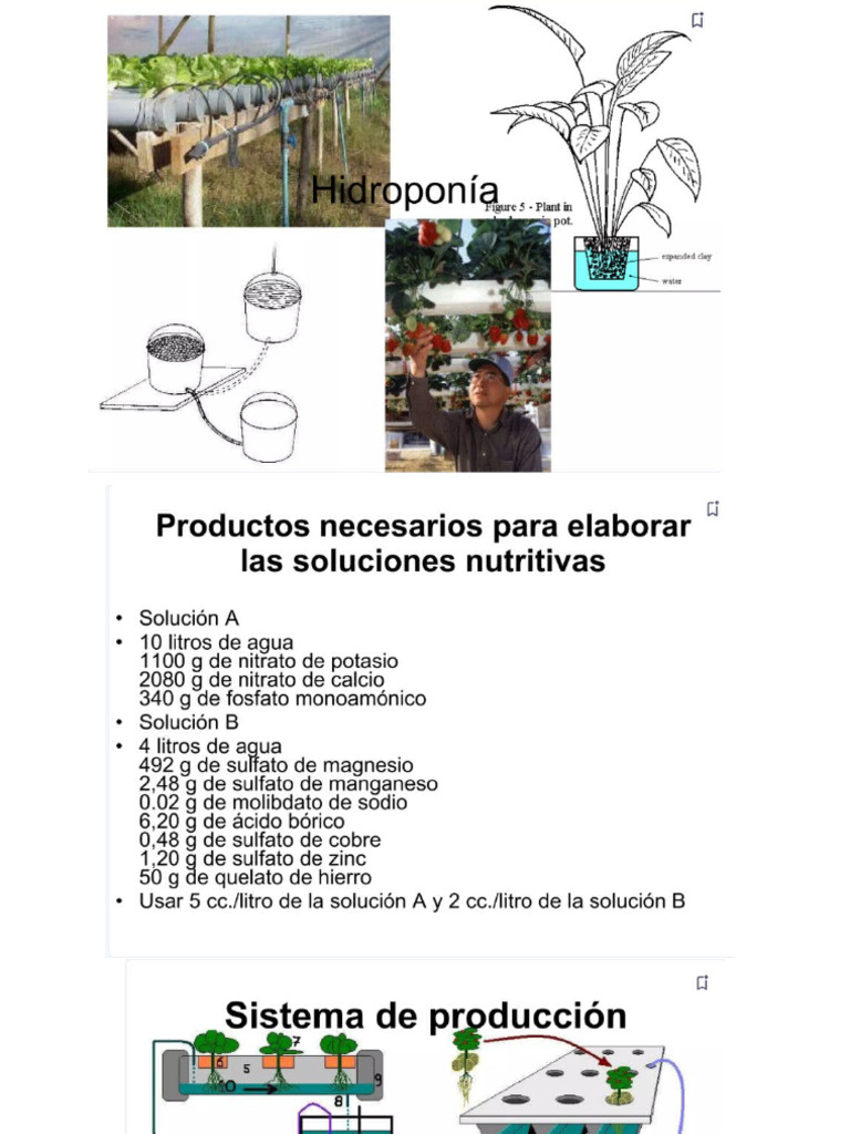 Hidroponia | PDF