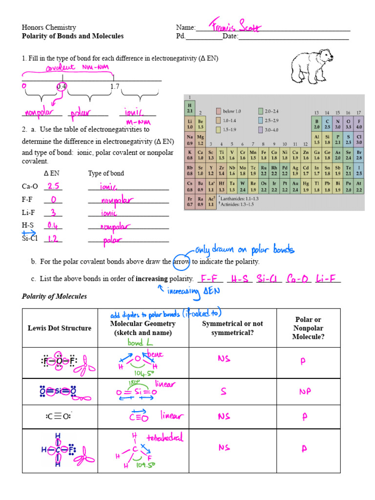 KEY Polarity and Molecules 24-25 | PDF