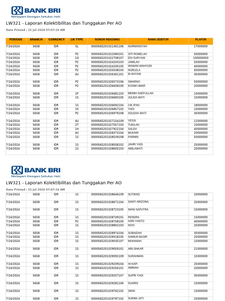 Lw321 Multi Brimen 2024 | PDF