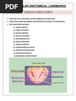 LIPS - Histological Structure | PDF | Lip | Primate Anatomy