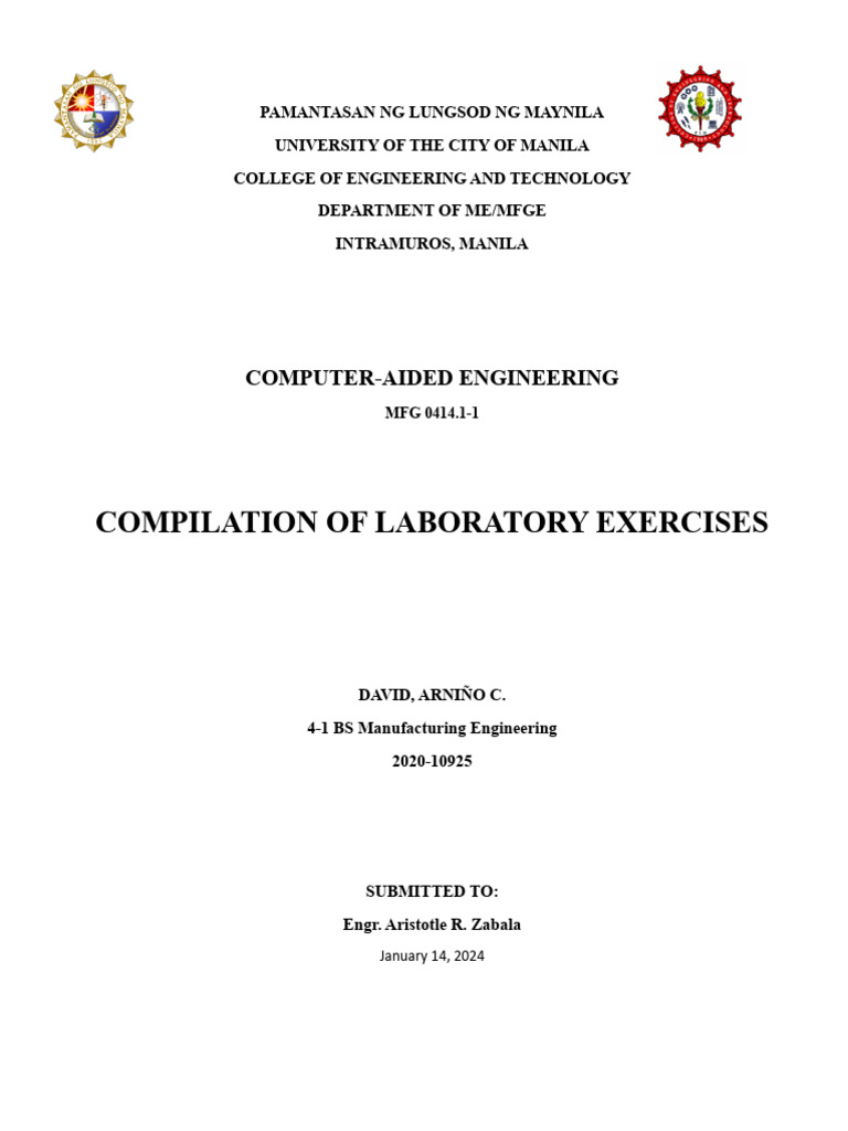 DAVID_CAE-Lab Exercise Compilation | PDF | Finite Element Method ...