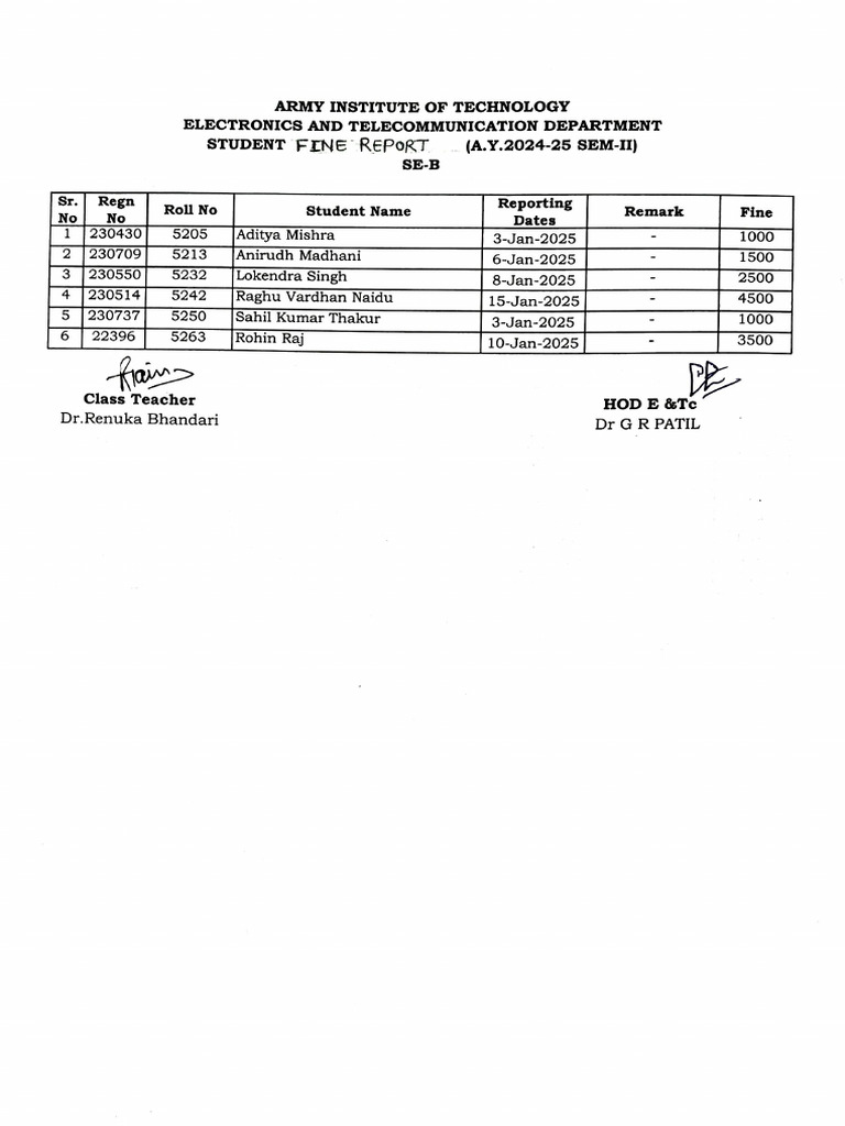 Fine Report | PDF