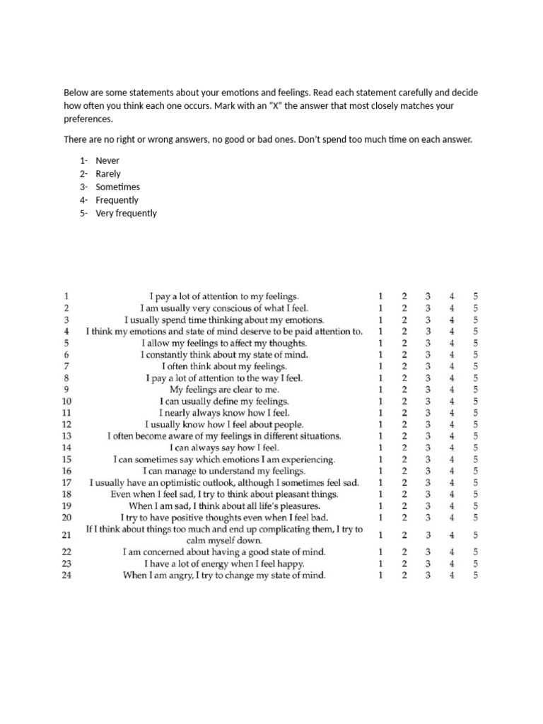 TMMS 24 Test | PDF
